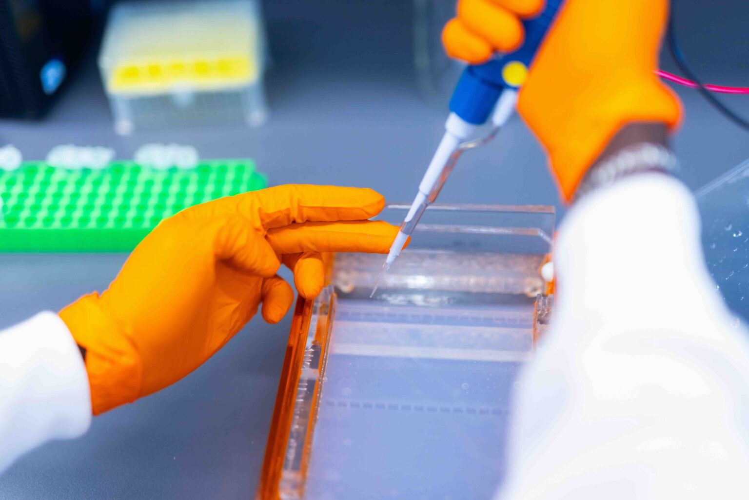 Home - Cluster Hiring Initiatives