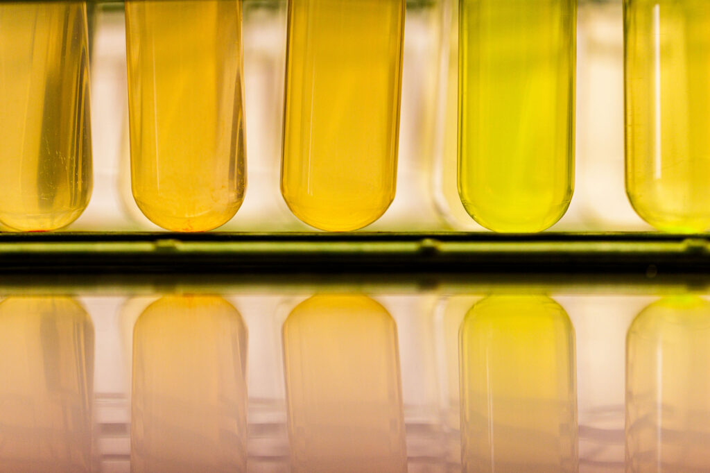 Sustainable Environment - Institute for Energy and Environment