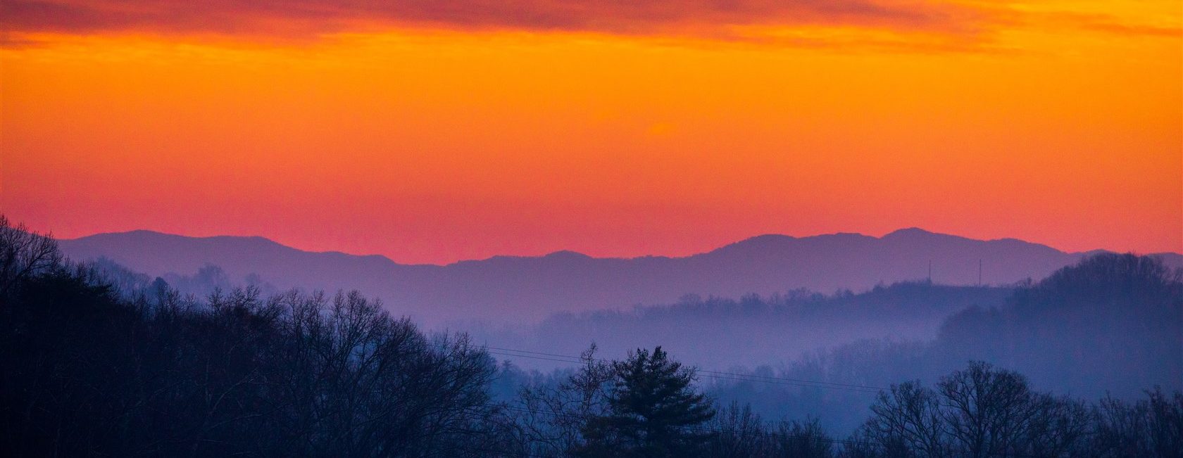 A Trail to Discovery - UT Research and the Great Smoky Mountains ...