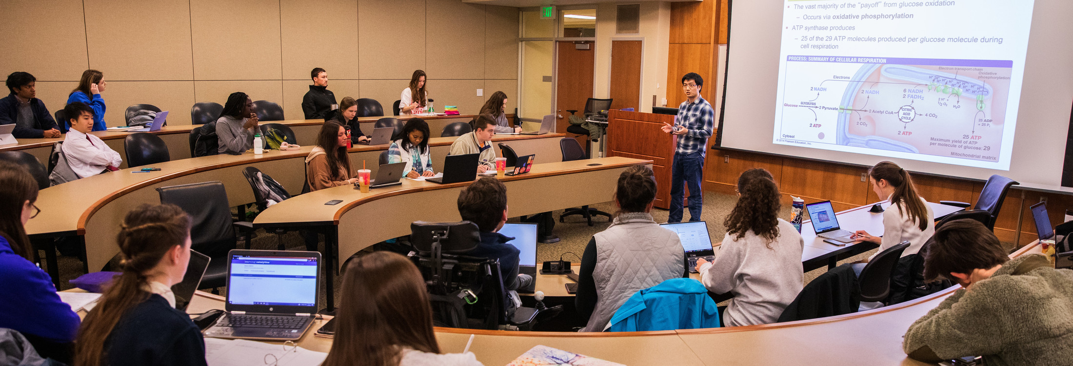 FAQs for Department Review Chairs & Department Heads - Research ...